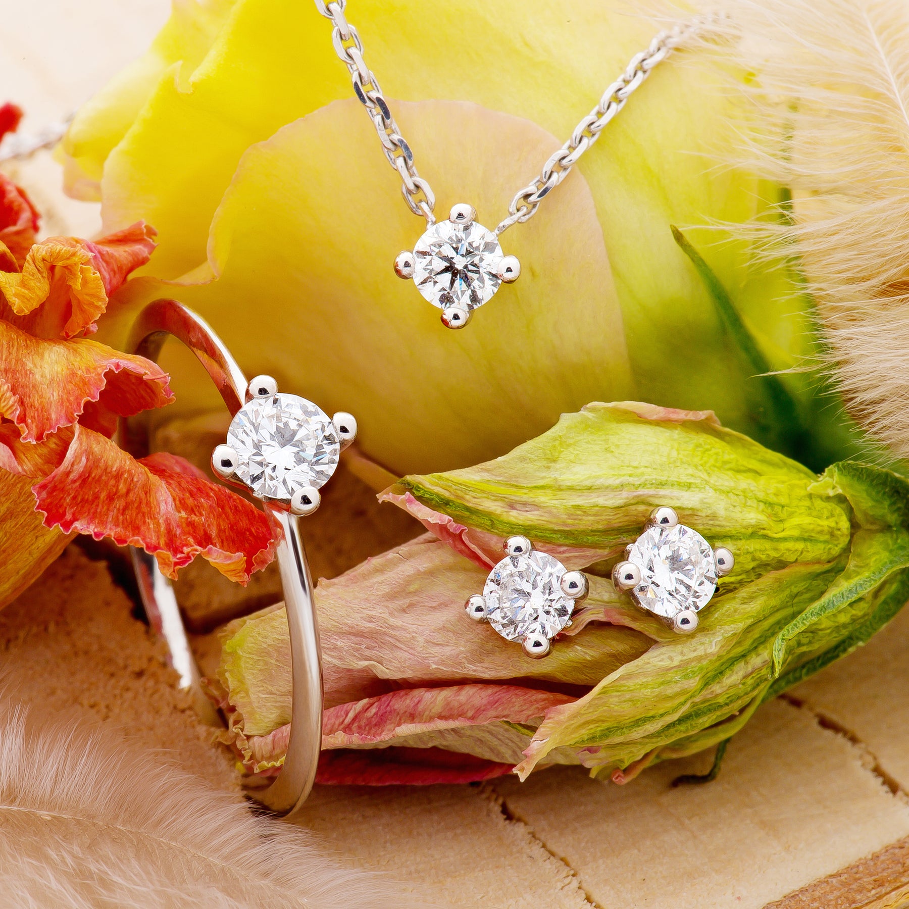 Ohrstecker Terry Weiss – Feichtinger-shop.com